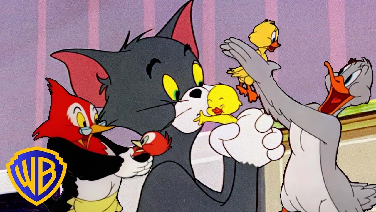Tom Jerry Animal Moms рџ рџђ Wbkids Youtube