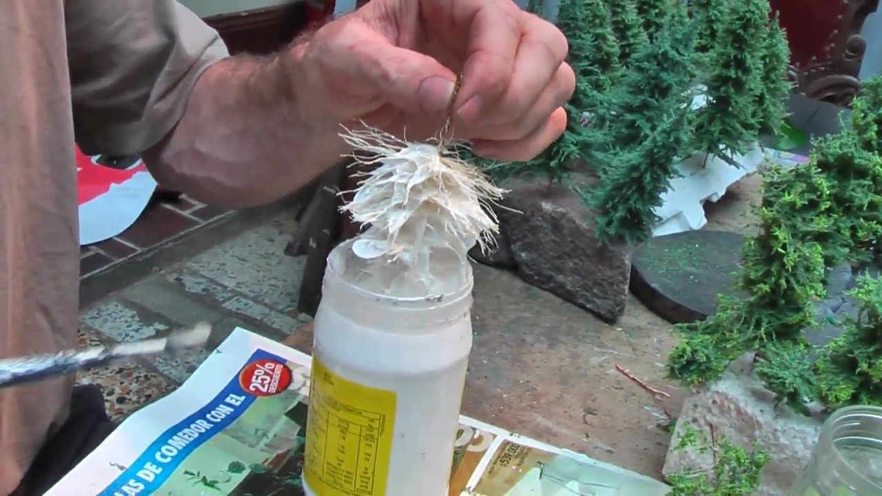 Miniature Pines Youtube