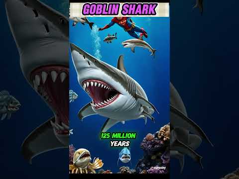 Goblin Shark The Deep Sea Phantom Of The Ocean Youtube