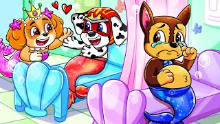 Chase Mermaid Is Pregnant But Skye Only Love Marshall Paw Patrol ...