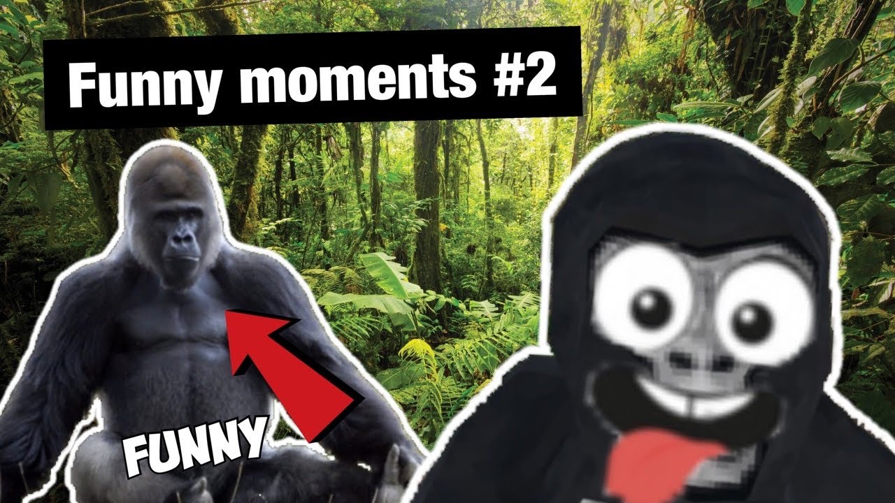 Best Gorilla Tag Moments At Billy Dendy Blog