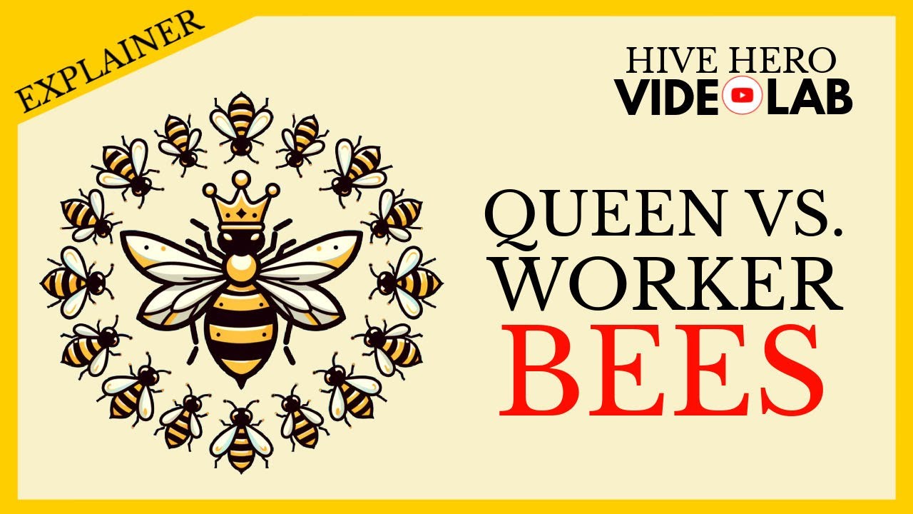 Worker Bees The Unsung Heroes Of The Hive Wonderlearning Blog