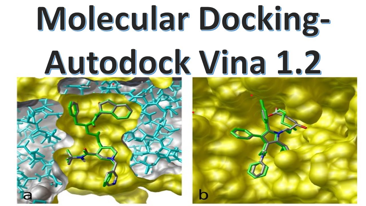 Autodock Vina
