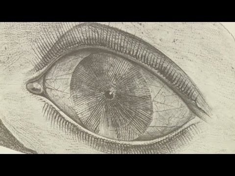 Max Ernst Frottage Trailer Schulfilm Kunst Youtube