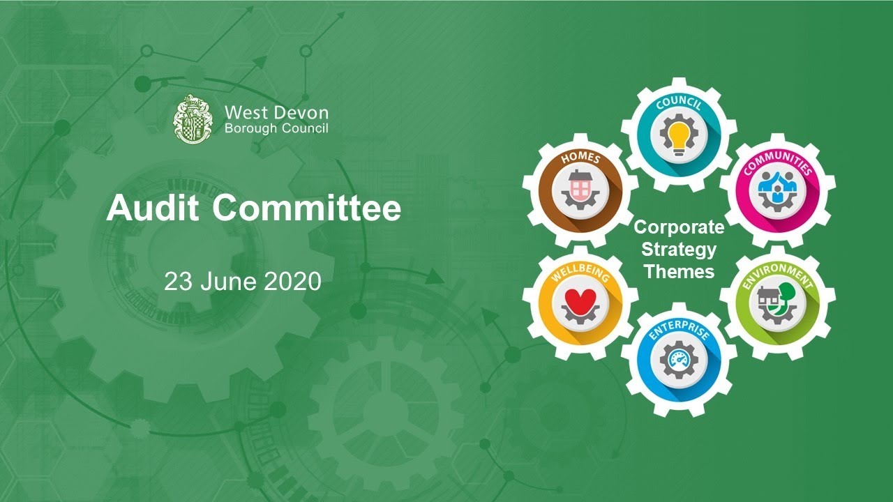 Audit Committee Youtube