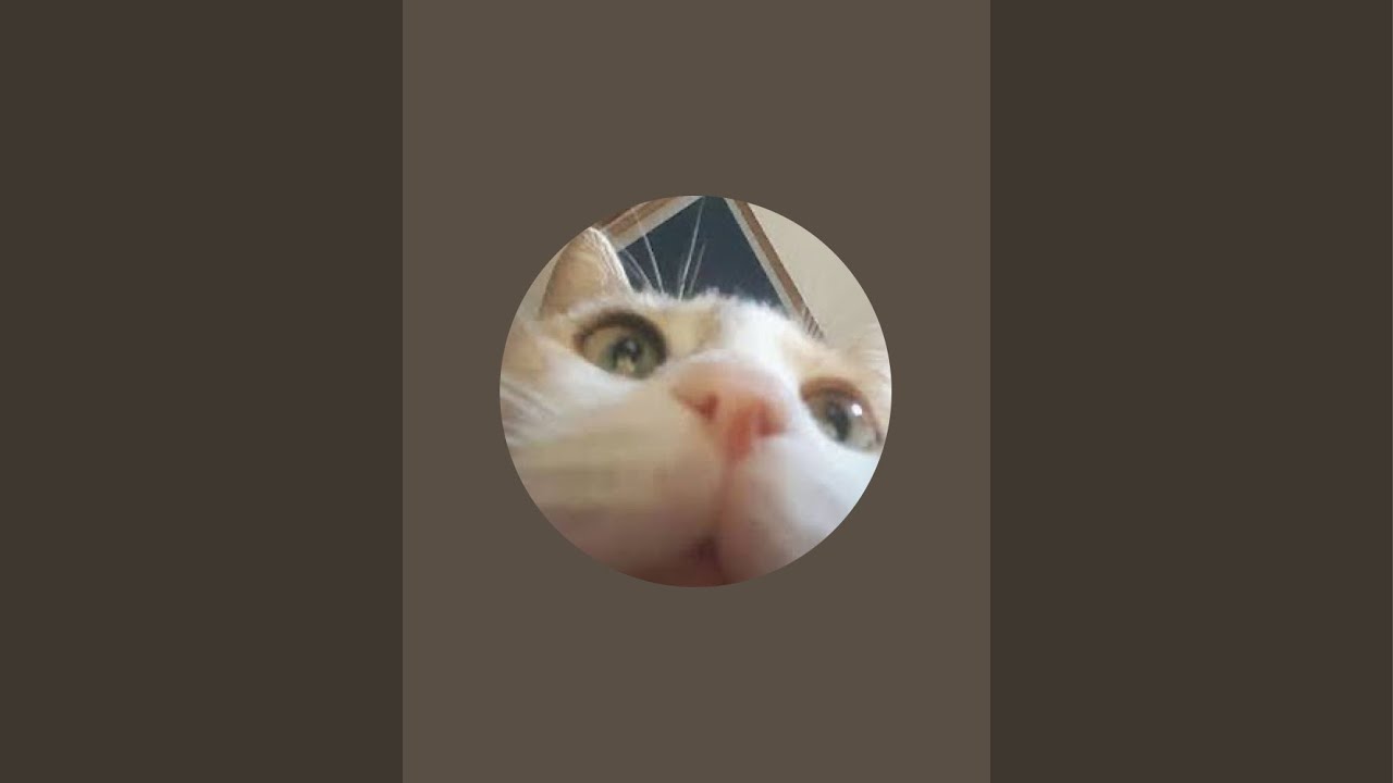 Gambar Di Ibispaint X Guysss Youtube