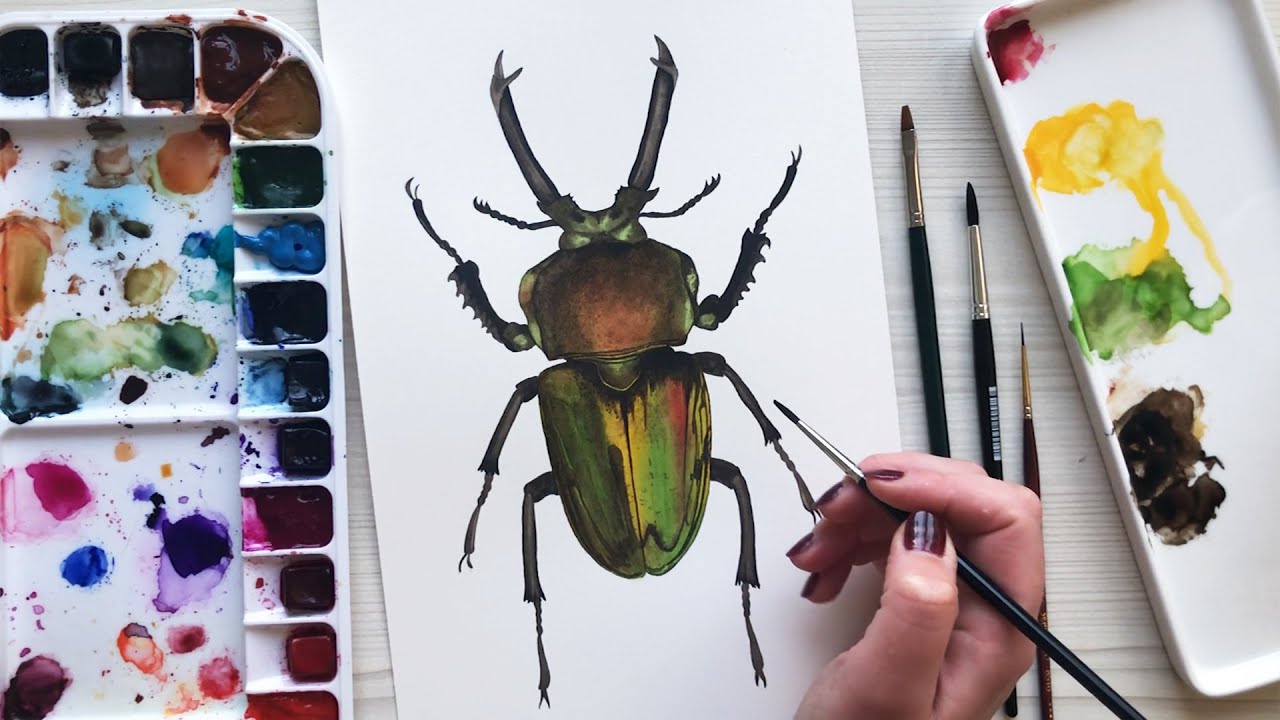 Paint With Me Watercolour Beetle Painting Process Youtube