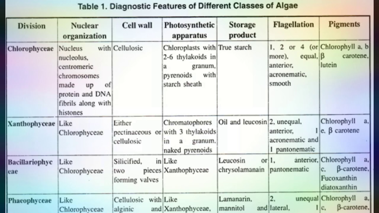 Algae General Characters And Classification
