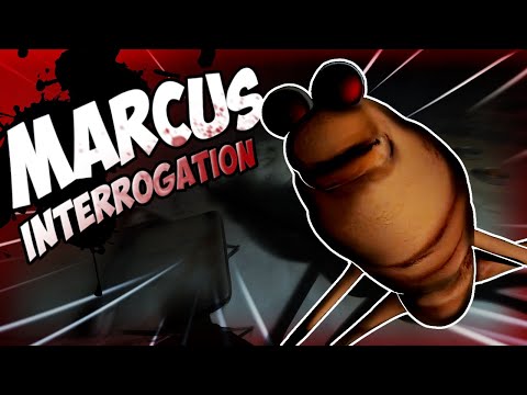 Marcus Kidnapped And Interrogated Me New Content Transcript Chat
