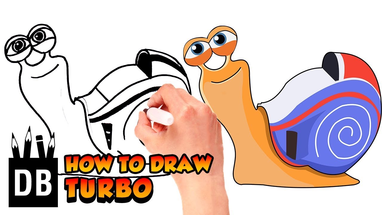 Turbo Snail Drawing