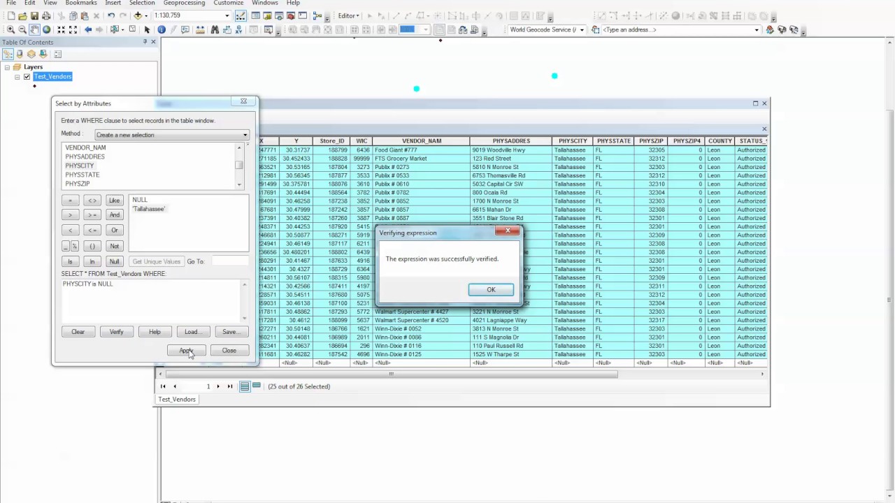 Arcmap Definition Query Startbites
