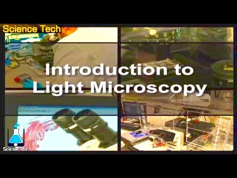 Introduction To Light Microscopy Youtube