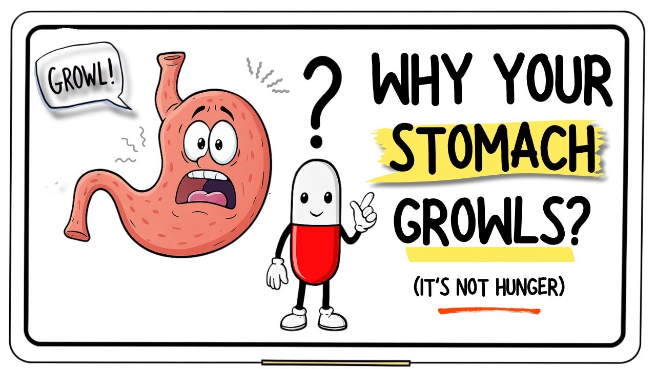 Why Your Stomach Growls Even When You Re Not Hungry рџґґрџ Youtube