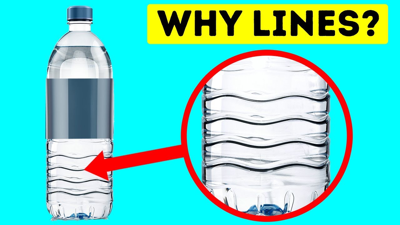 I Was Today Years Old When I Learned These 17 Facts Youtube