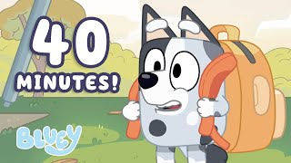 Live Iconic Moments With Bluey S Friends Life Lessons With Bluey Bluey ...