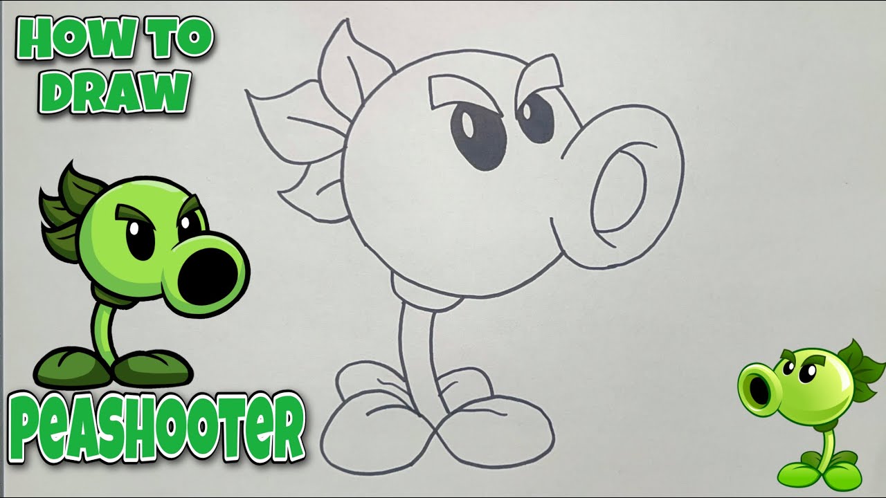 How To Draw Peashooter Plants Vs Zombies Step By Step Drawing