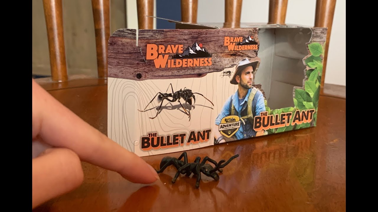Bullet Ant Unboxing Thank You Brave Wilderness Youtube