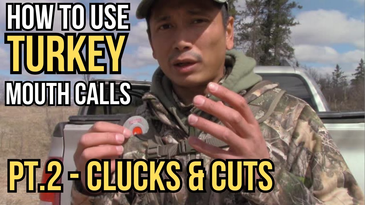 Turkey Calls 101 For Beginners How To Use Mouth Diaphragm Calls