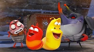 Larva Trapped In The Cold Cartoons For Children Larva Official