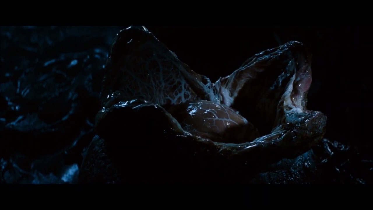 Alien Egg Chamber Facehugger Scene Hd Youtube