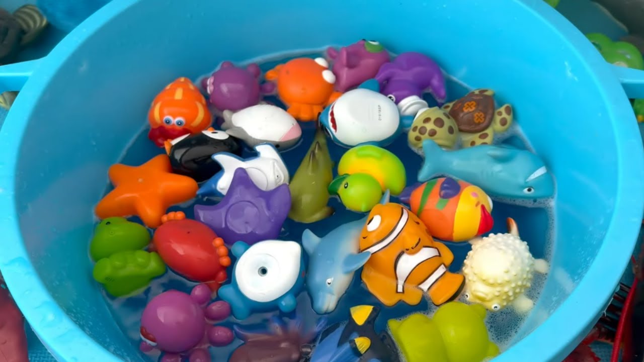 Sea Animal Toys In A Blue Tub Youtube
