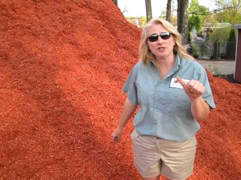 Lakeview Nurseries Super Red Cedar Mulch Youtube