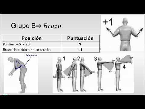 Aplicacion De Métodos De Análisis Ergonómicos Método Reba Youtube