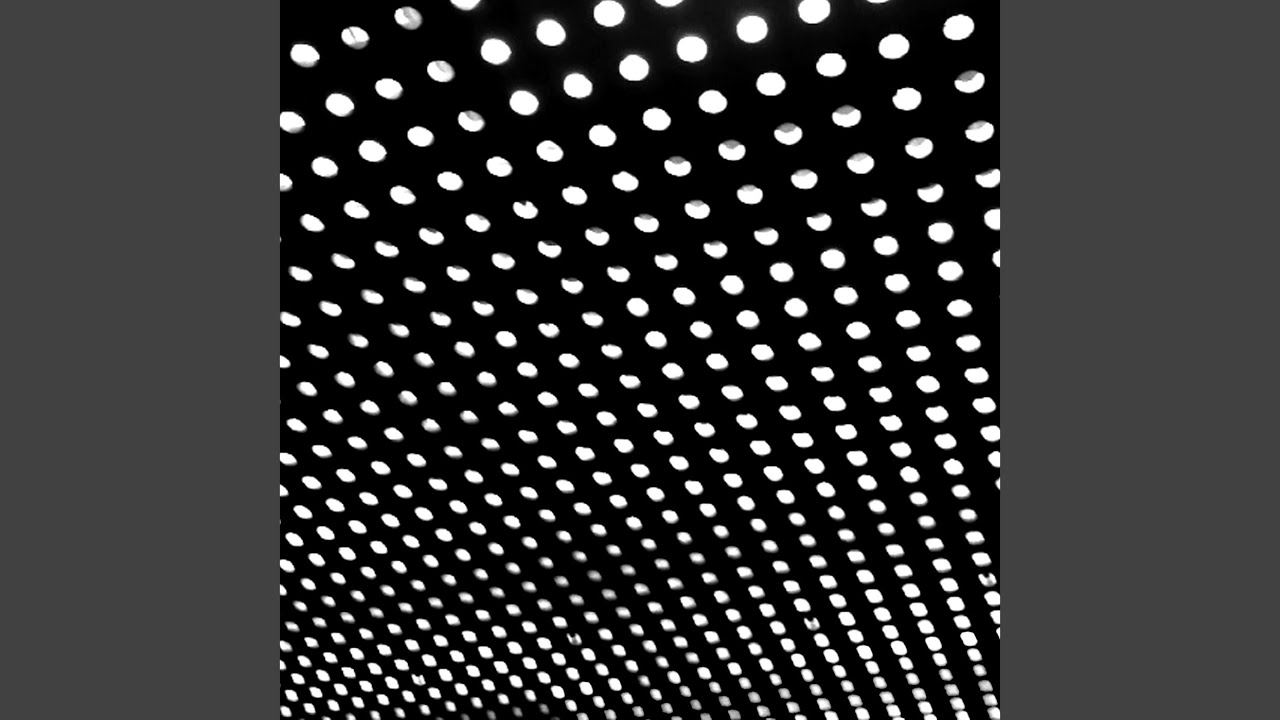 Wild Youtube