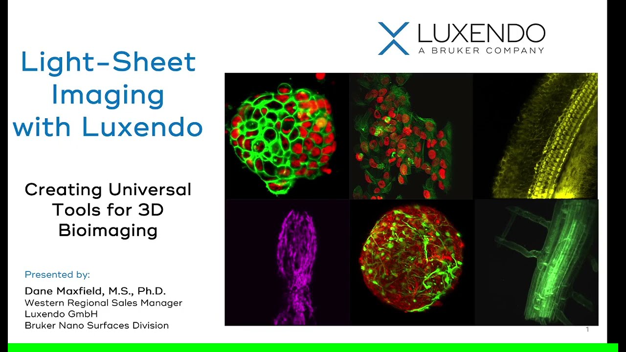 Light Sheet Microscopy Creating Universal Tools For 3d Bioimaging