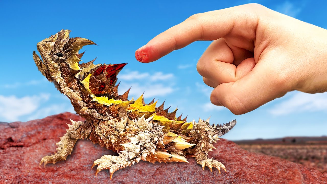 Finger Sliced By Sharpest Lizard Youtube