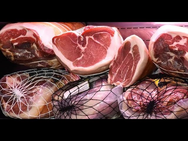Proteína Animal En Una Dieta Sustentable