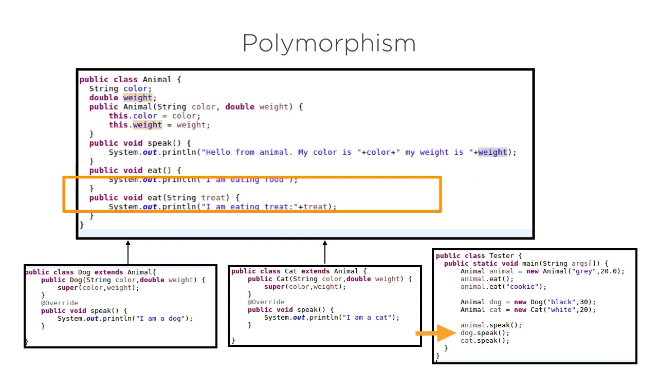 Java Object Oriented Programming Concepts Polymorphism Youtube