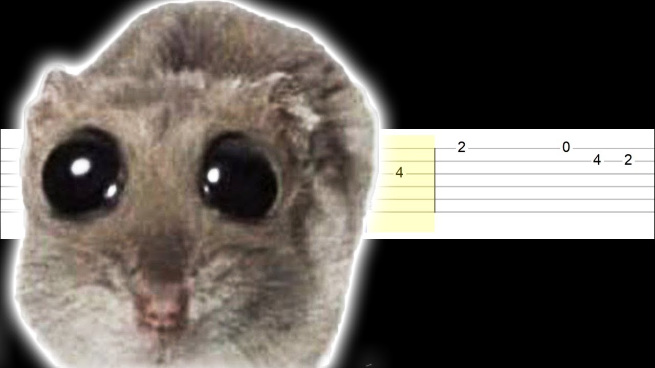 Sad Hamster Violin Meme Chords Chordify