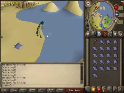 Deltascape Fishing Manta Rays Youtube