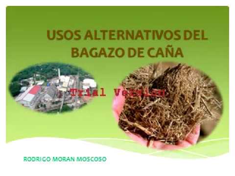 Usos Alternativos Del Bagazo De Caña Youtube