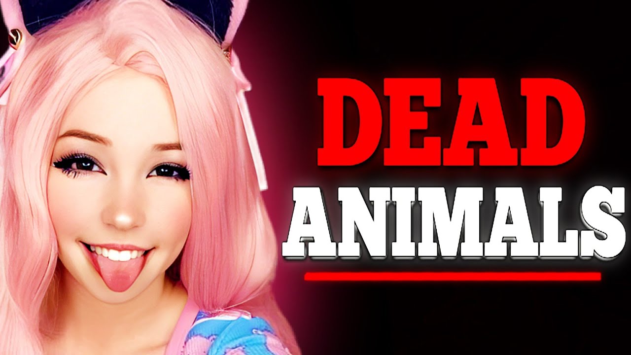 Belle Delphine Is Back And Plays With Dead Animals Youtube
