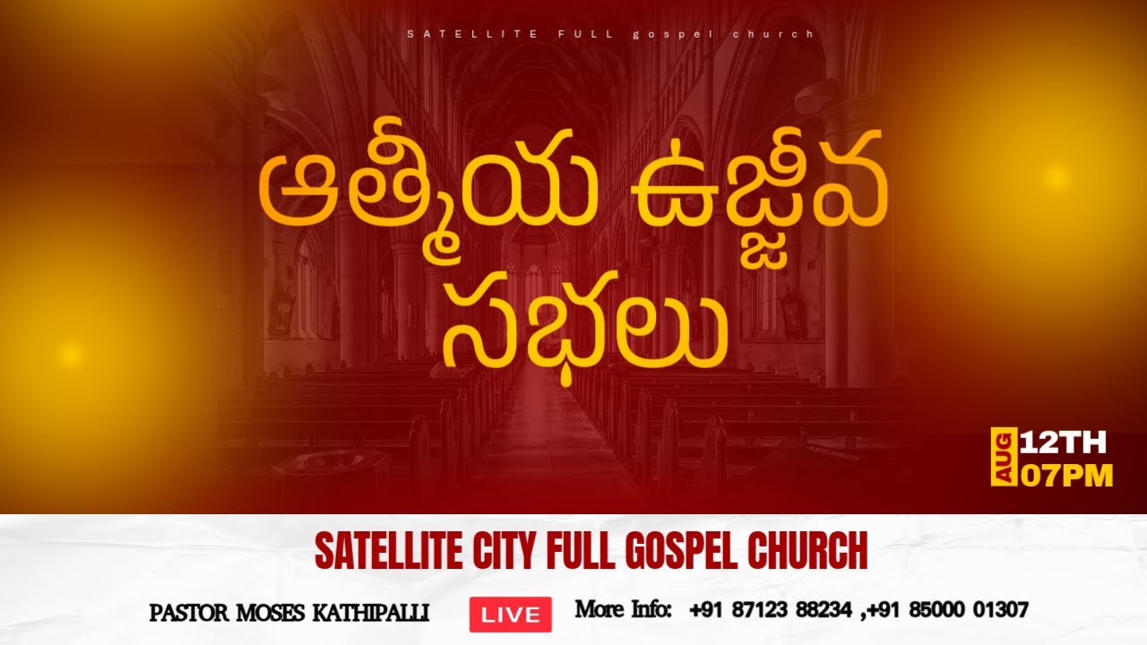 Three Little Pigs Pizza Party Bedtime Stories For Kids In English