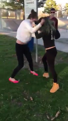 White Girls Fight Chick Fight Girls Fight Girls Brawl Catfight