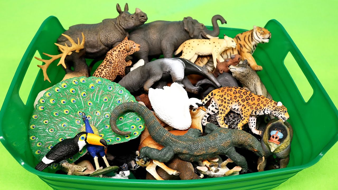 50 Plus Jungle Forest And Rainforest Animal Figurines Youtube