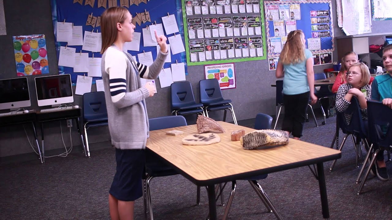 Lesson 2 Stem Youtube