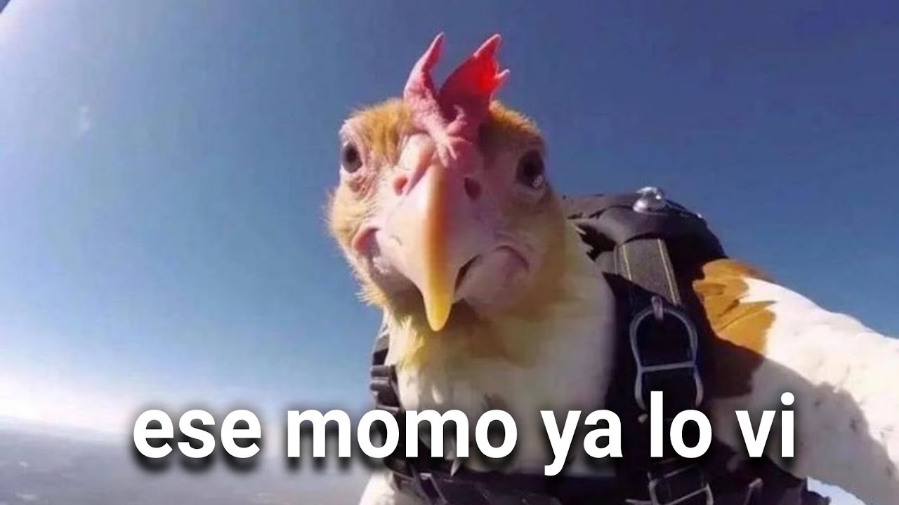 Shitposting Compilation V6 Youtube