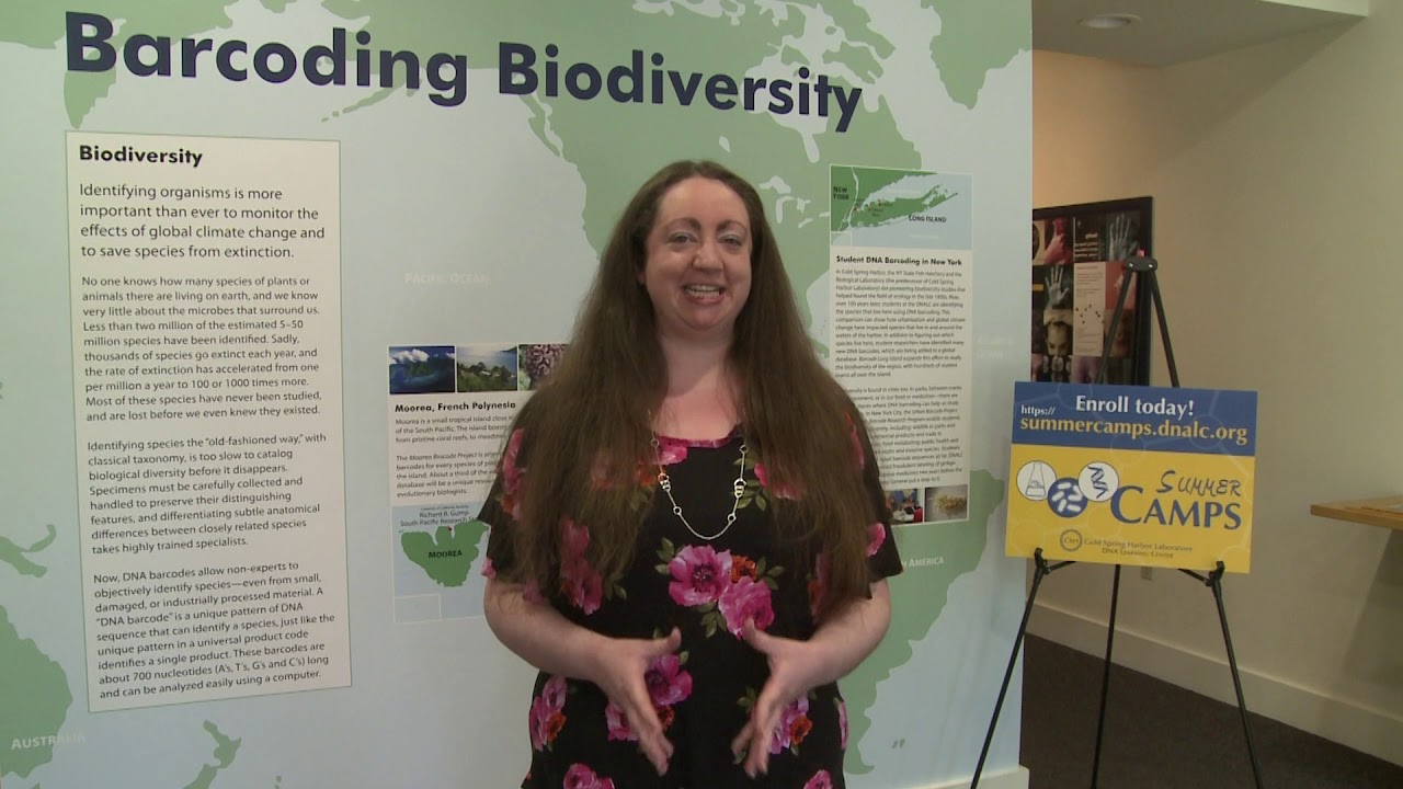 Virtual Dna Barcoding Summer Camp Youtube