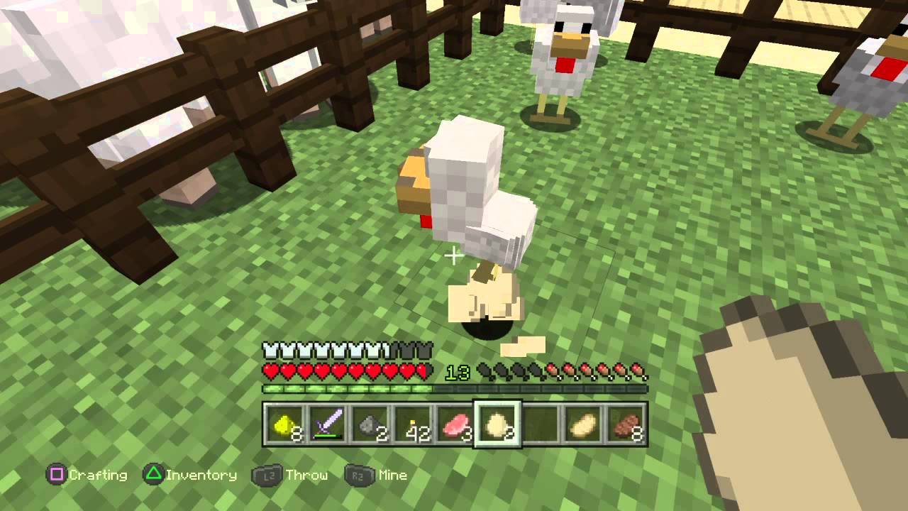 Minecraft 4 Chickens In 1 Egg Youtube