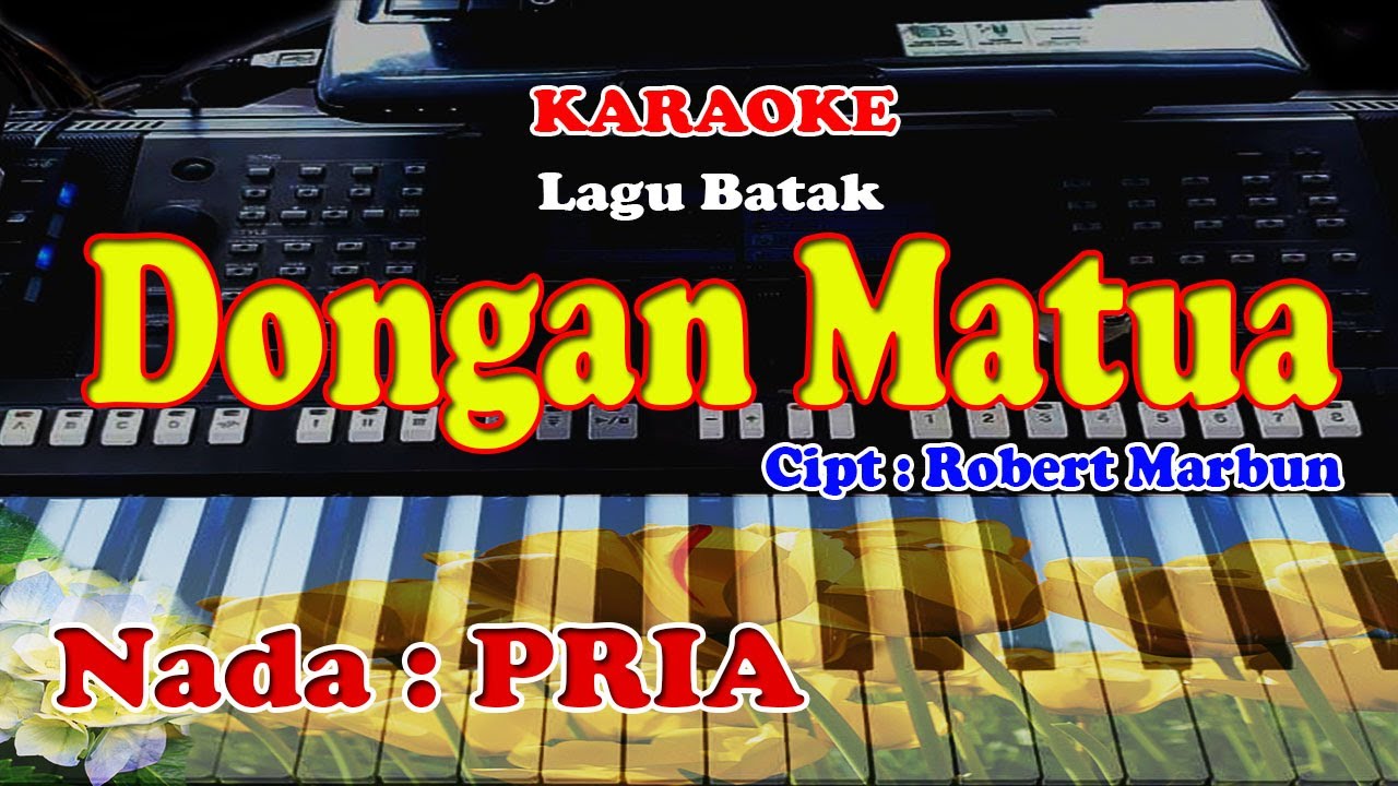 Lagu Batak Nada Pria Dongan Matua Karaoke Youtube