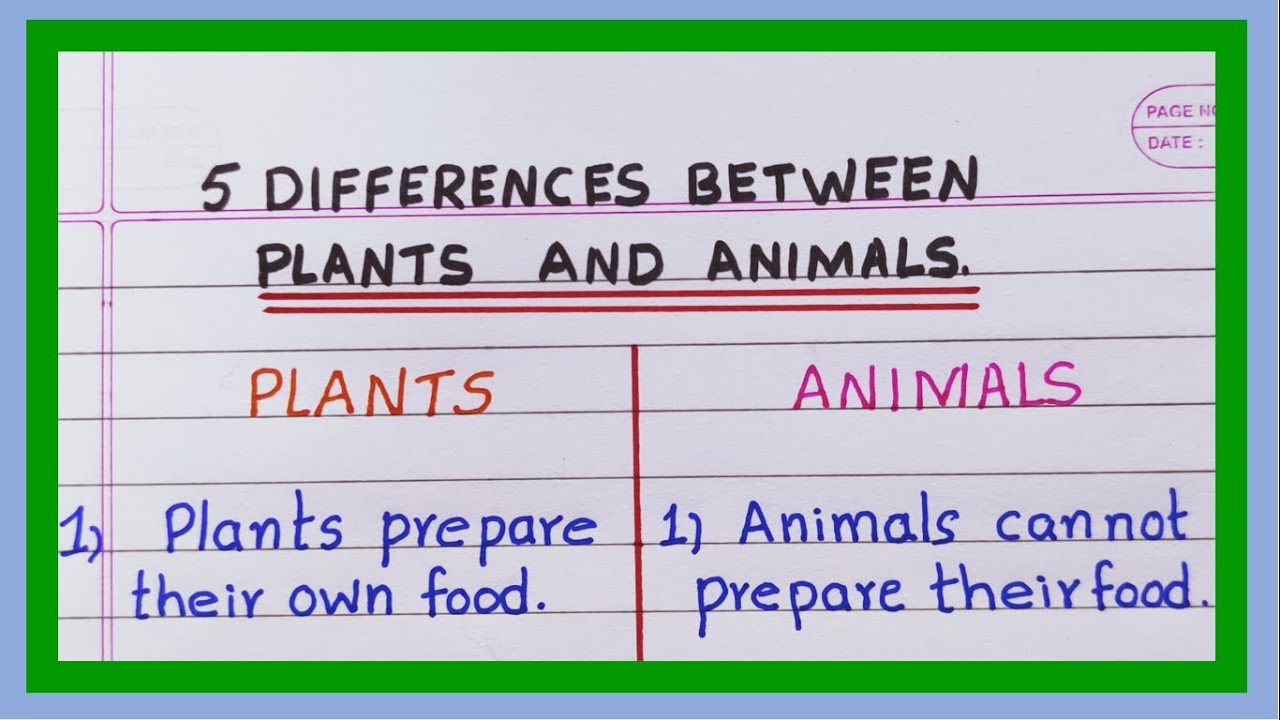 5 Differences Between Plants And Animals In English Housepetscare