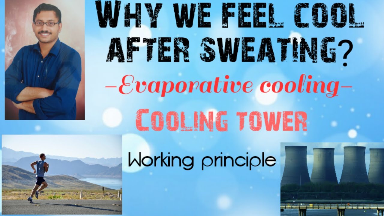 Why We Feel Cool When A Fan Is Switched On At Tracy Jacoby Blog