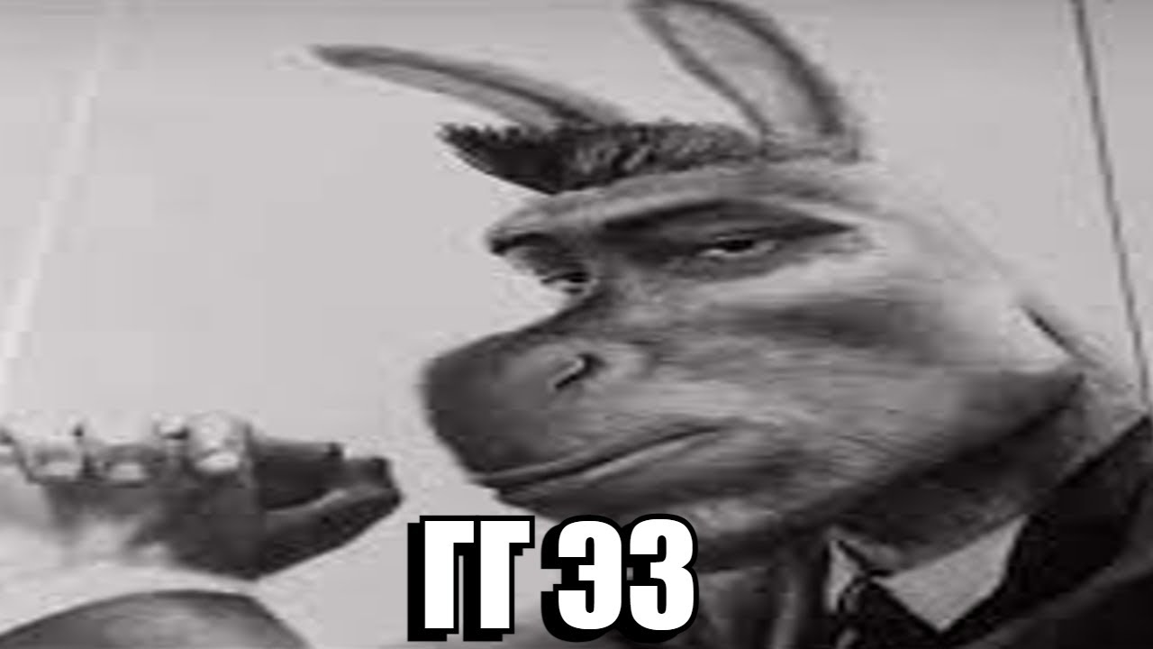 Shitposting Compilation V153 Youtube