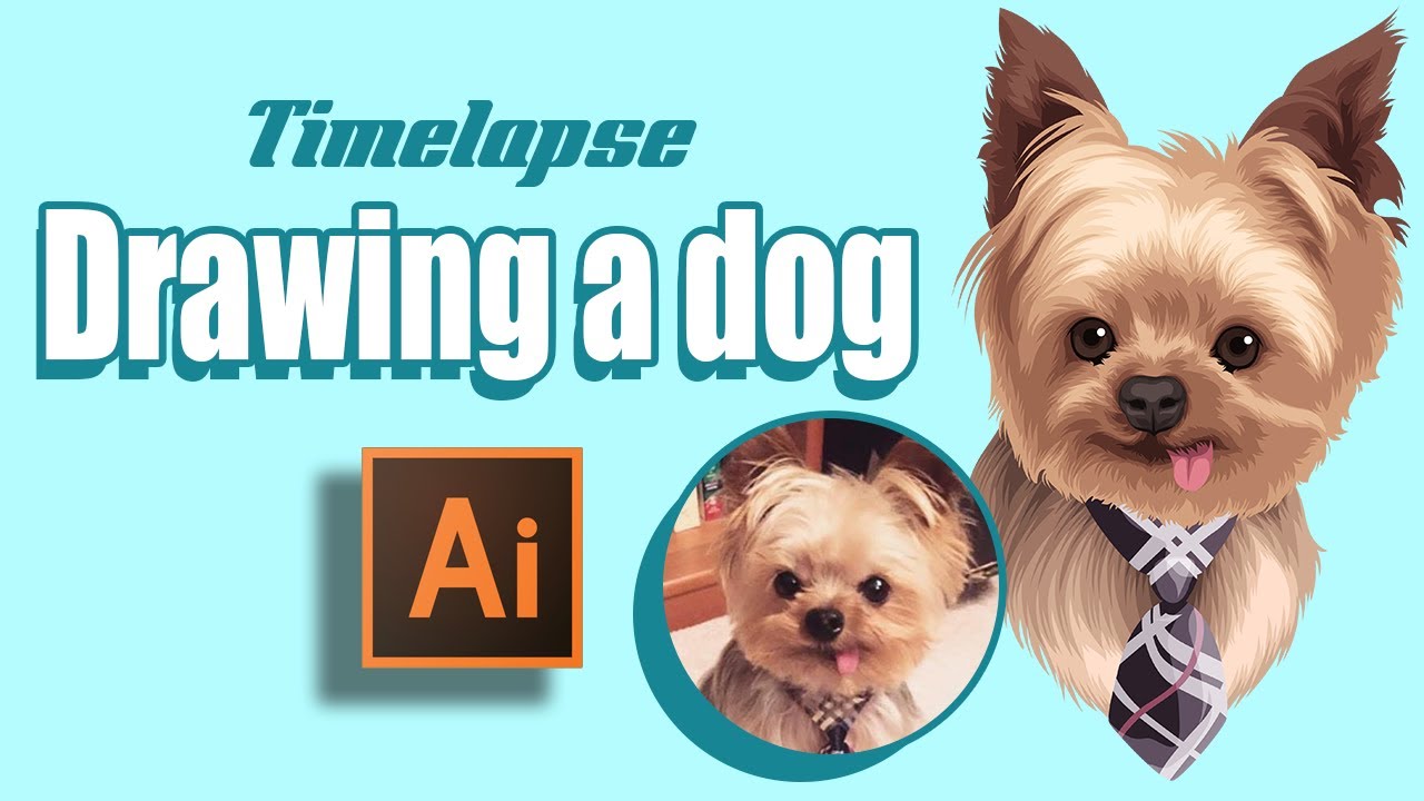 Timelapse Drawing Dong With Adobe Illustrator Youtube