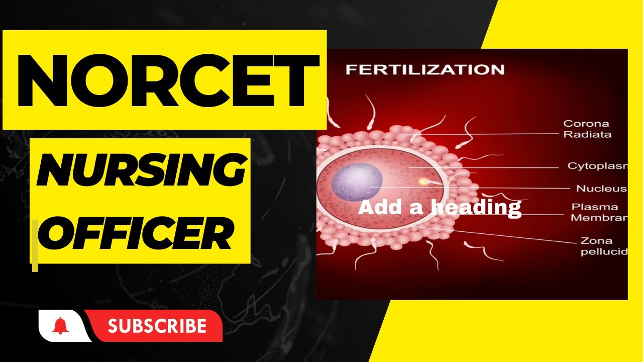 Fertilization Youtube