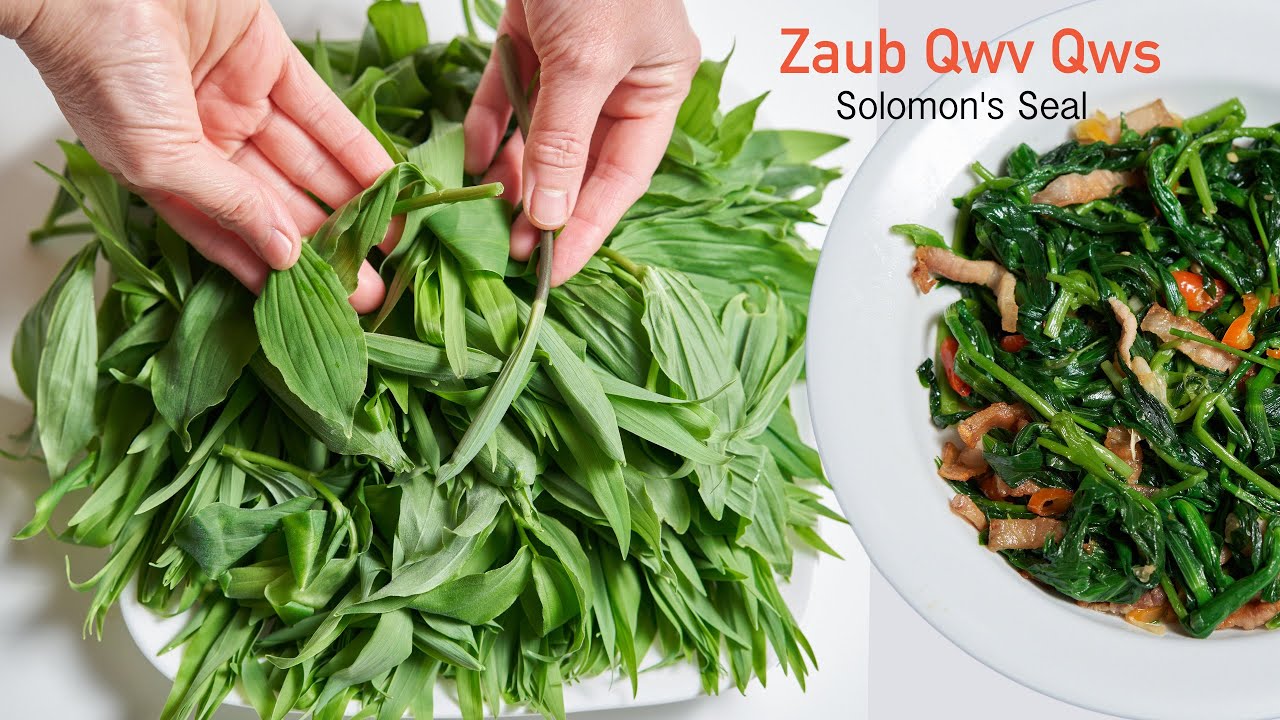 Solomon S Seal Recipe Noj Zaub Qwv Qws Puas Zoo Ntshav Qab Zib